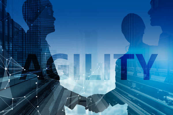 Make Checklist Work More Agile With EMASS Automation