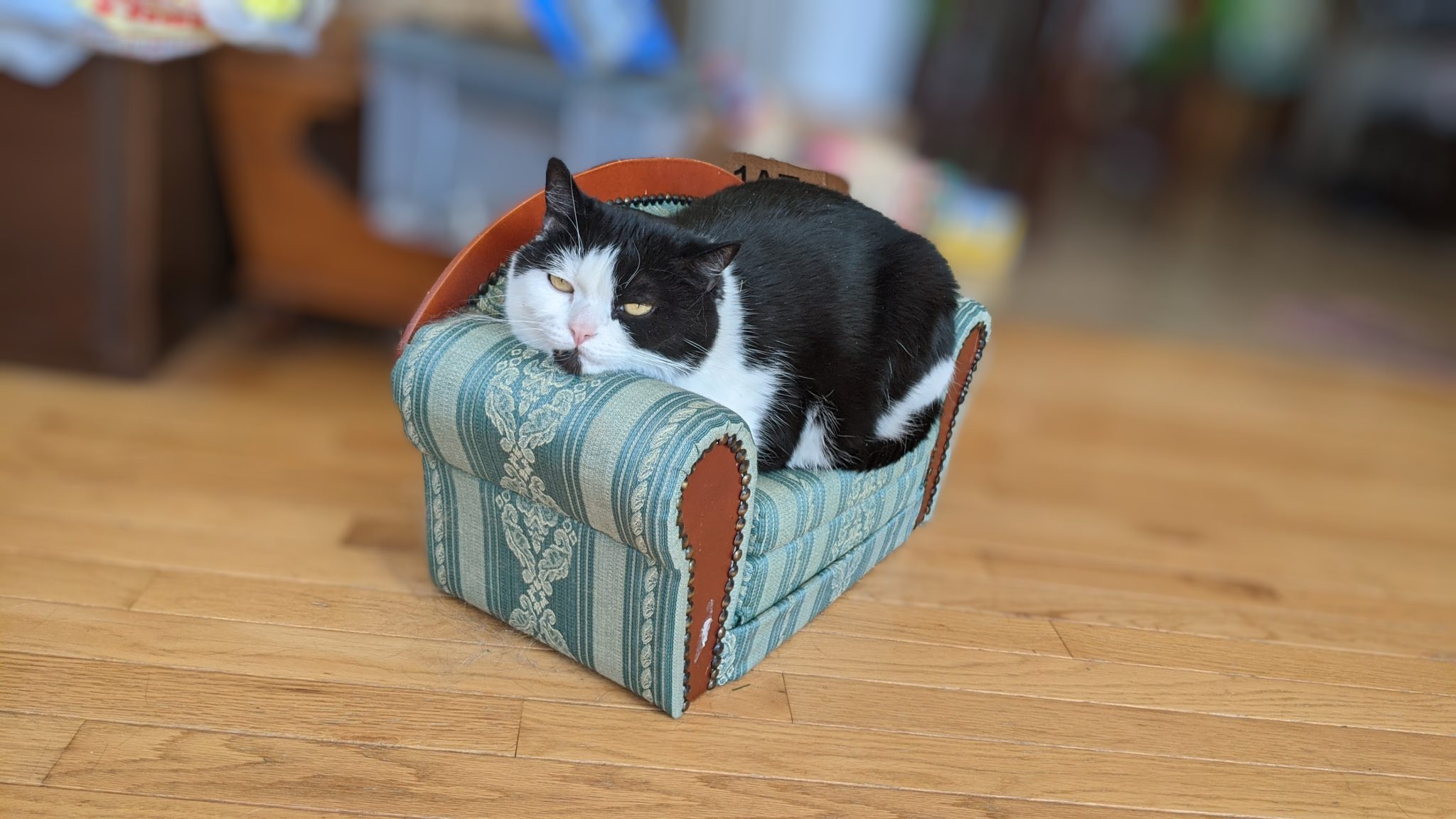 Faces Of SteelCloud: Automation Is A Lifestyle